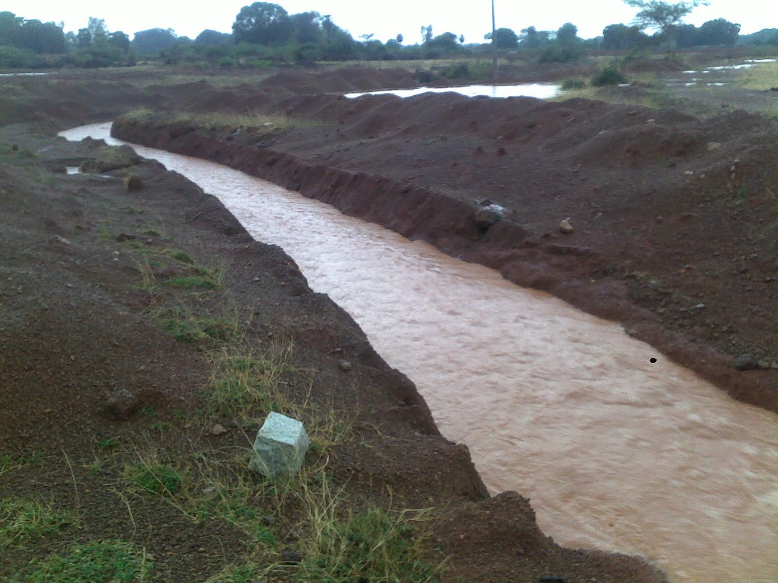 Techie2Aggie: When taming the rain water runoff becomes essential!