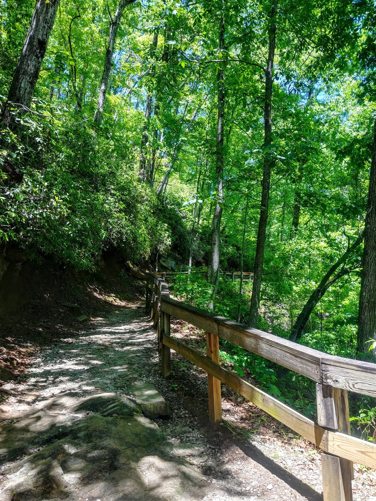 Another Mile Another Destination Blog: Issaqueena Falls, Walhalla ...