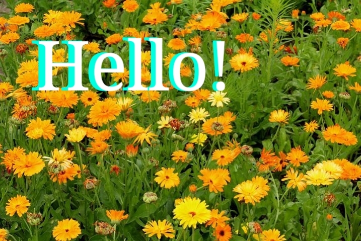 Top 10 Hello Images, Photos, Pictures, Greetings for WhatsApp - Good ...