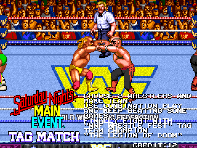 VGJUNK: WWF WRESTLEFEST