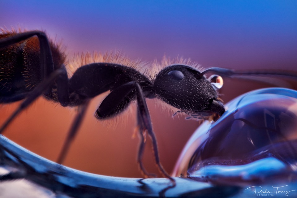 Подборка лучших фотографий SonyAlphaRumors за неделю