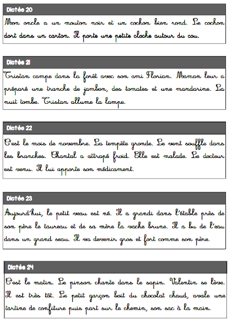 A l'encre violette: DICTEES HEBDOMADAIRES CE1