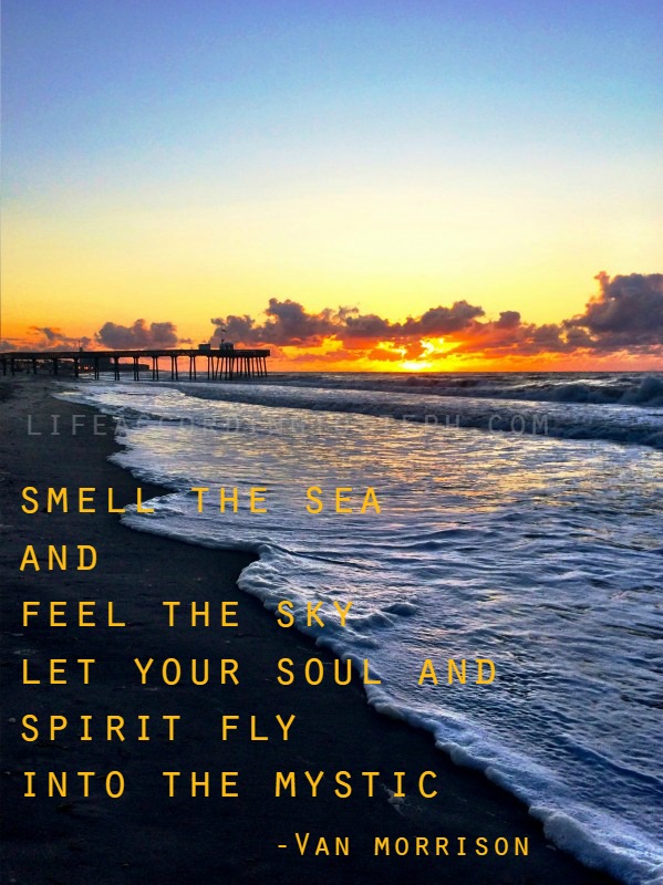 Life According to Steph: Take me to the sea