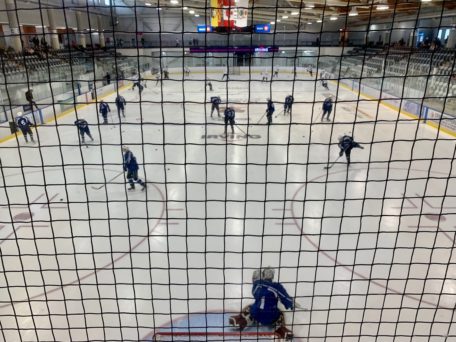 Station Nation: Pre-season begins Sunday at qplex