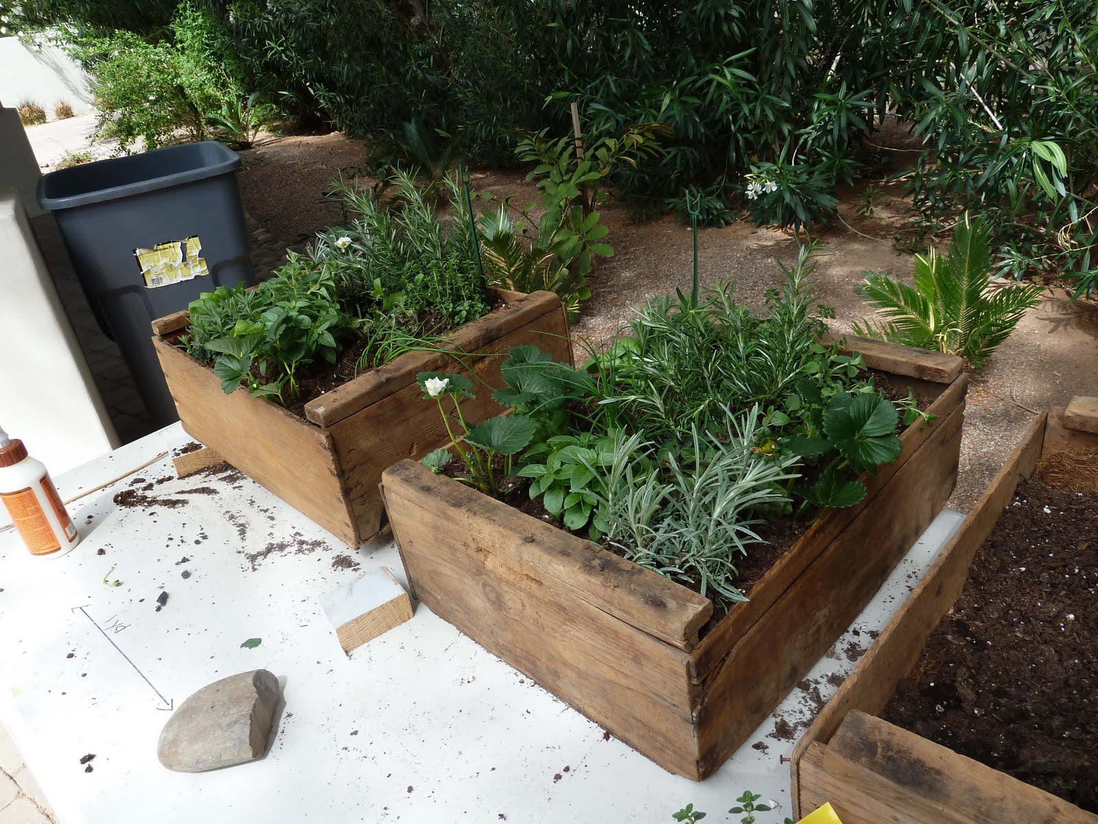 The Willows Home & Garden: garden boxes