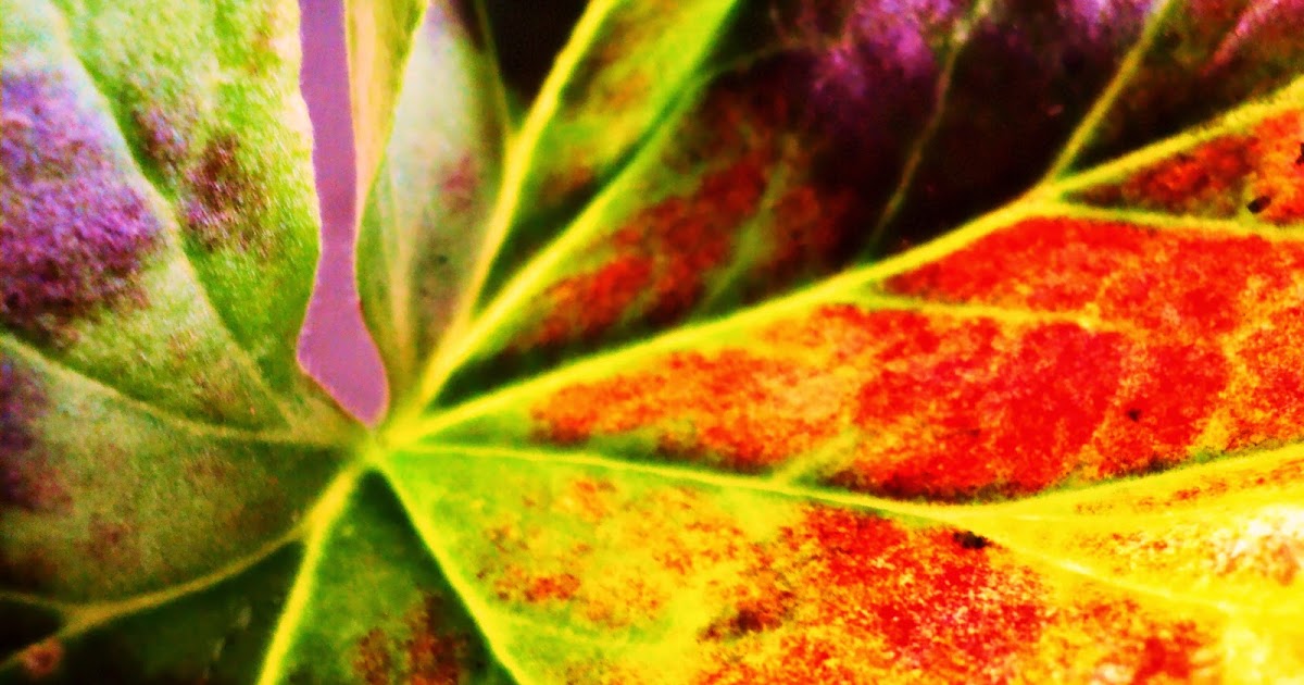 Art and Kits: Colors of truth...