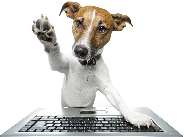 TECNOLOGÍA CALDERONISTA