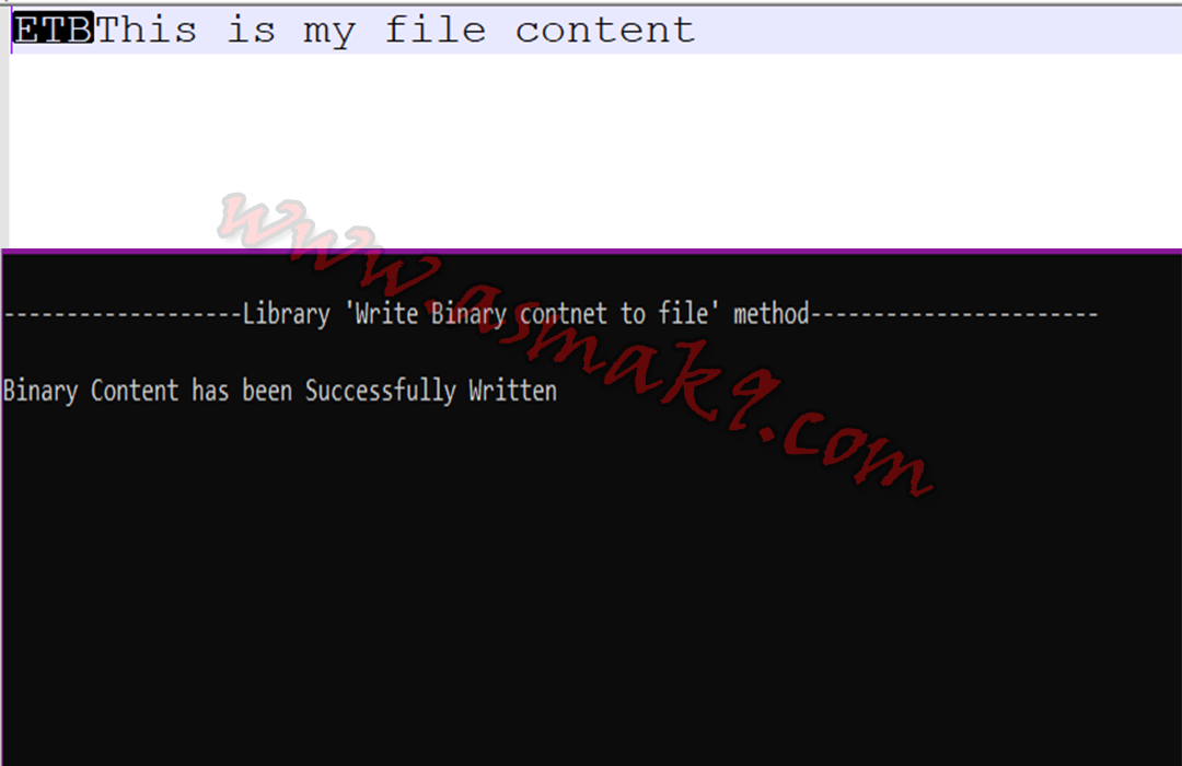 C NET How To Write Binary Format Content In File Asma s Blog c-net-how-to-write-binary-format-content-in-file-asma-s-blog