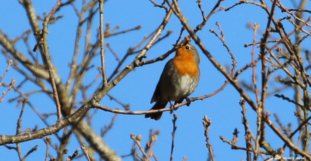 Euskal Herria mendiz mendi: OIANBAKOITZ (1226M), MILPIRIBIL (1277M ...
