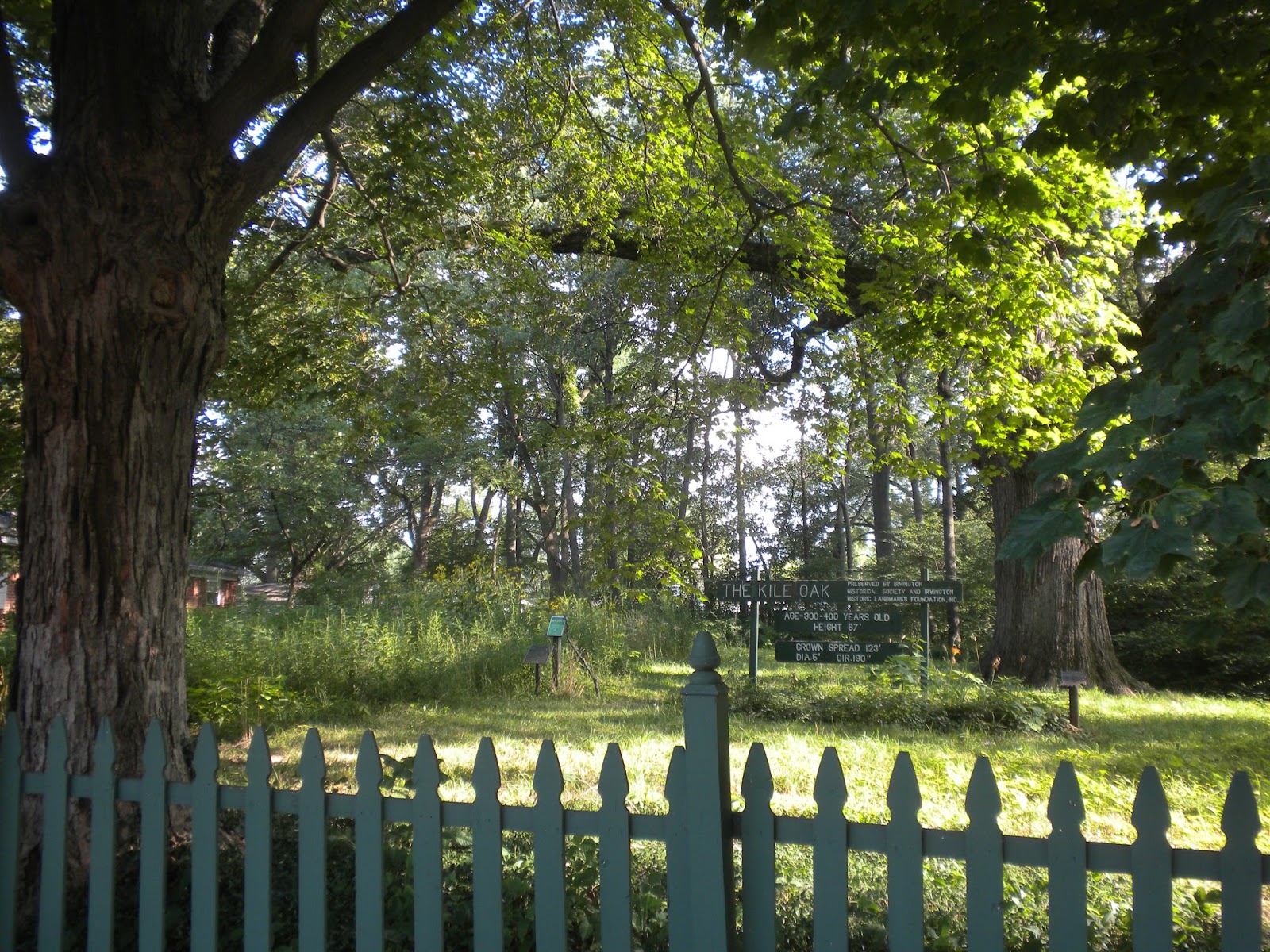 Vintage Irvington: Lost Irvington--The Kile Home