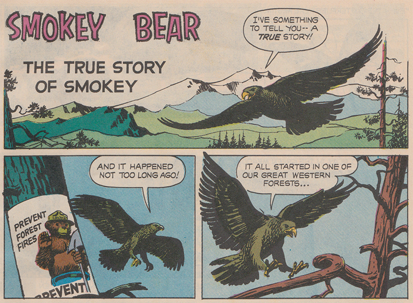 Commercial Icons: Burn Notice