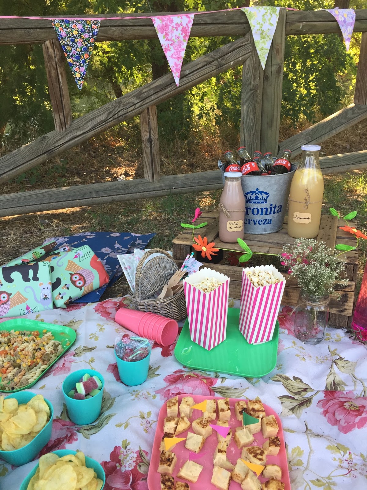 Si es Fiesta es Fiesta: De Picnic campestre!!