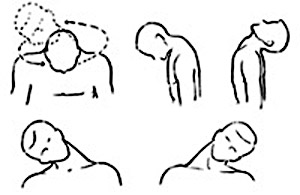 PediaPie: How to Exercise: Neck Stretching