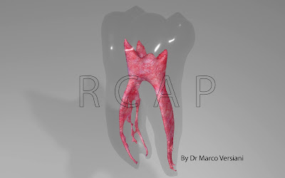 The Root Canal Anatomy Project
