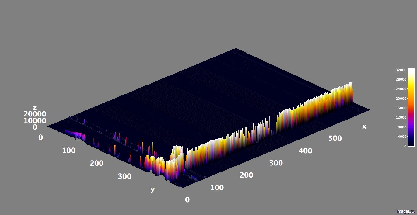 Research at a snail's pace: Hacking the Em2: Using the ImageJ to create ...