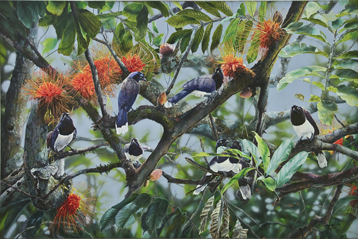 DIGITAL CAMERA ADVENTURES: UTOPIAS: NATURALISTAS, MAESTROS DE LA LUZ