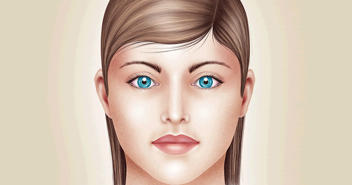 Medical Illustration. Gif animated
