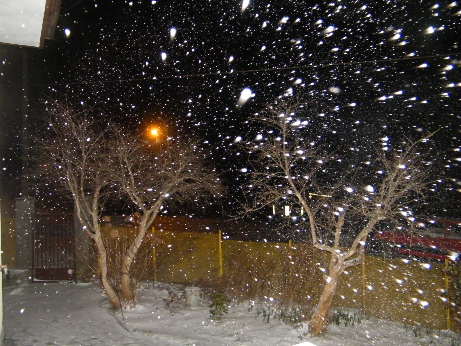 Appennino terra di frontiera: Bufera di neve
