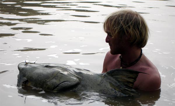 Giant Devil Catfish - The Goonch Catfish: Goonch Catfish Pictures