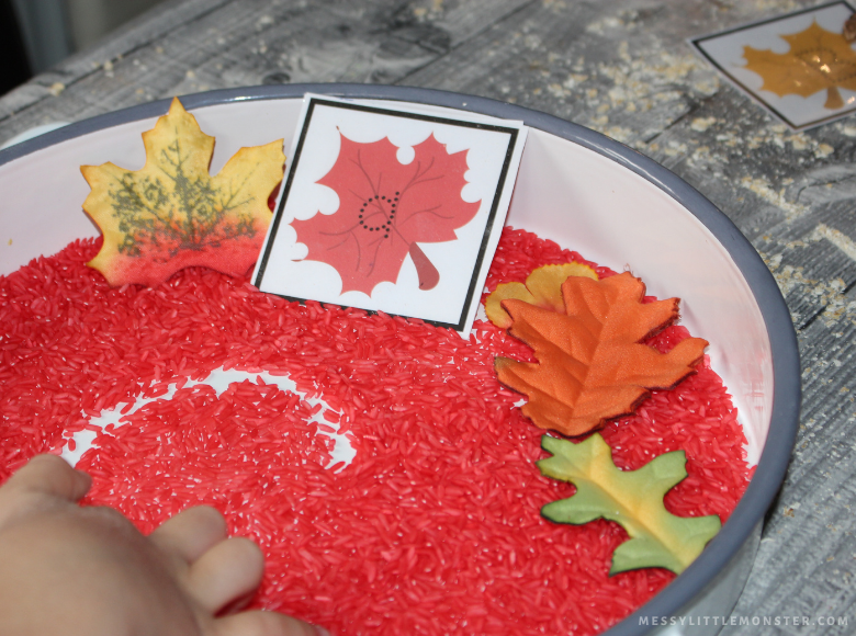 Fall Leaf sensory Bin - Messy Little Monster