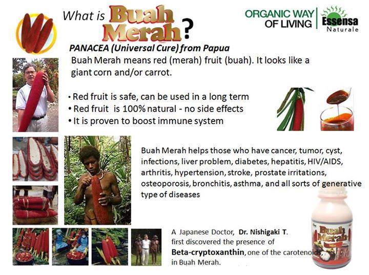 Benefits of Buah Merah Mix