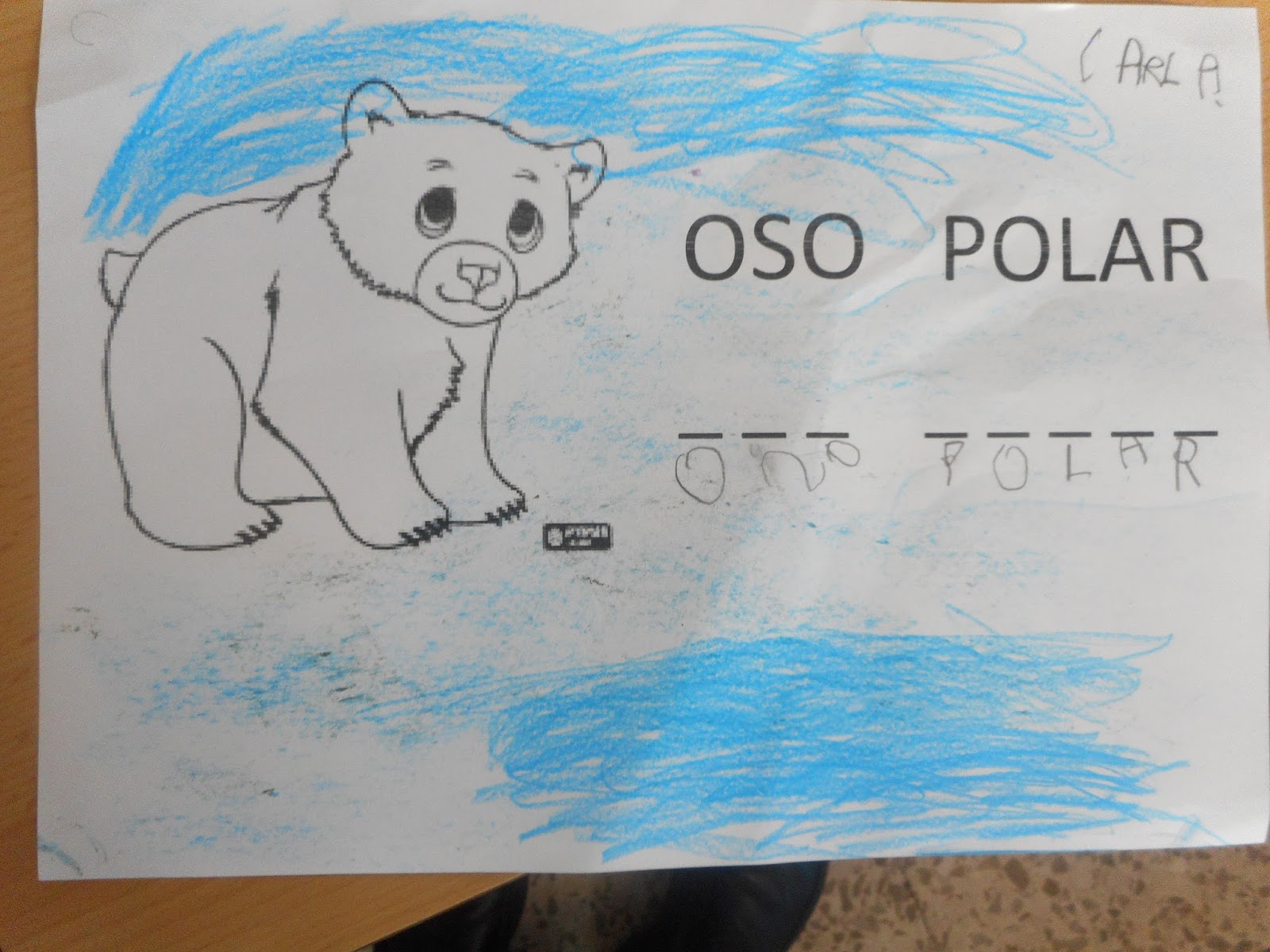 VIVIENDO LO APRENDIDO: OSO POLAR