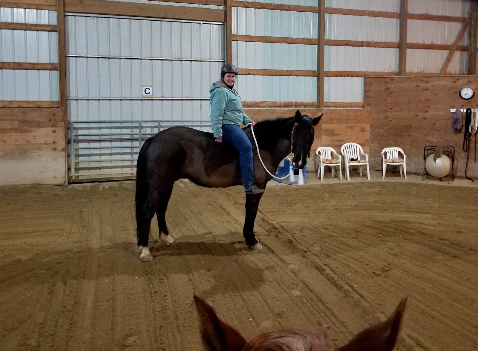 SprinklerBandits: The Expert's Guide to Toodling