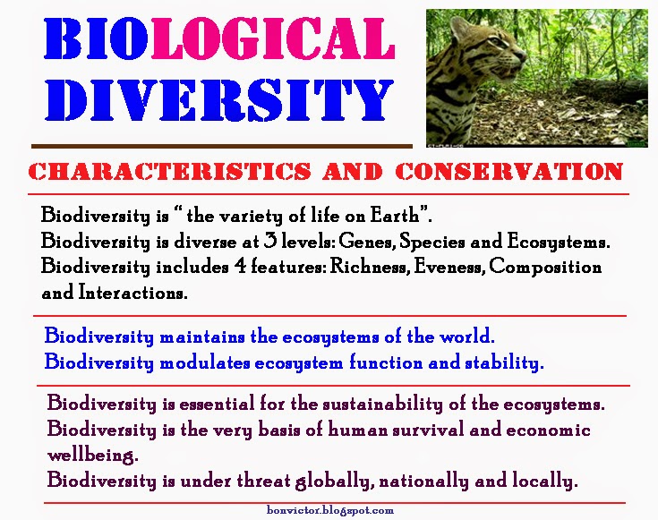 bonvictor.blogspot.com: Biological Diversity - characteristics and ...