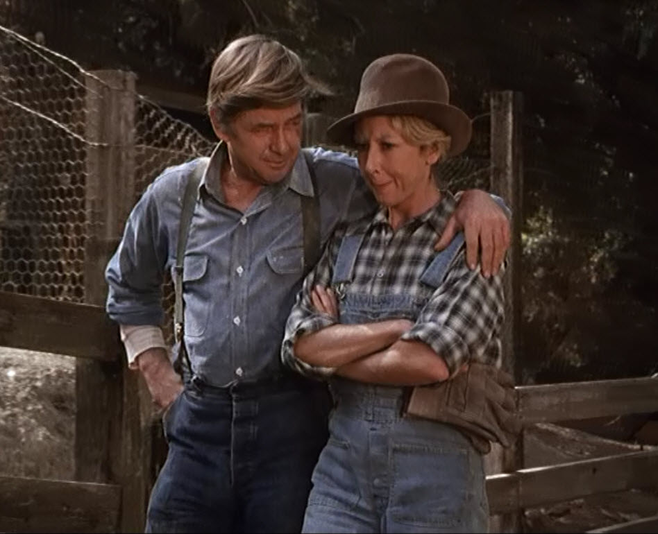 The Retro Rocket: Waltons 6.13: “The Celebration”