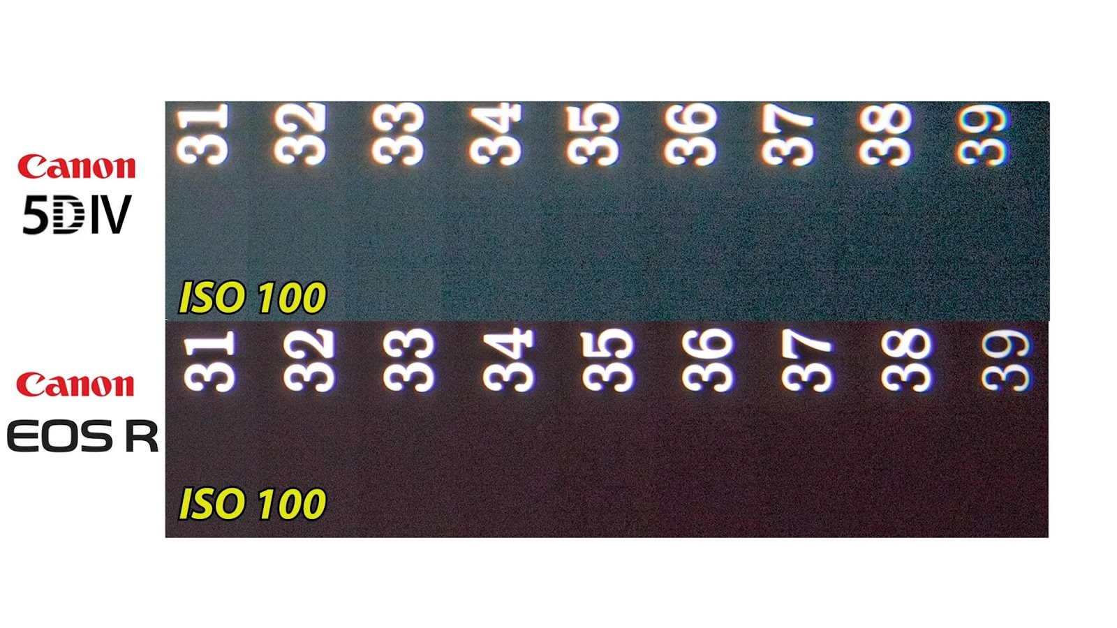 XT3 vs Z7 vs EOS R vs A7iii Dynamic Range Tests - Photography Blog Tips ...