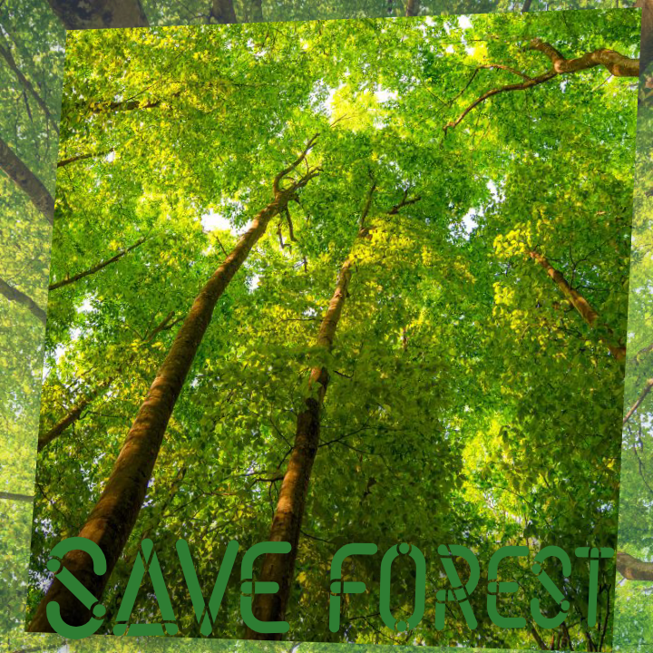 Conserve Our Forest And Wildlife