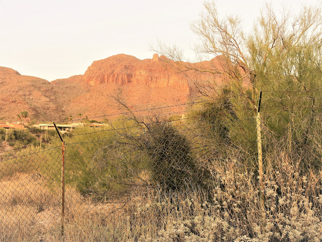 Living Rootless: Tucson, AZ: Sunset at Campbell Trailhead