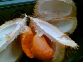 Buah Lai Yang Mirip Durian