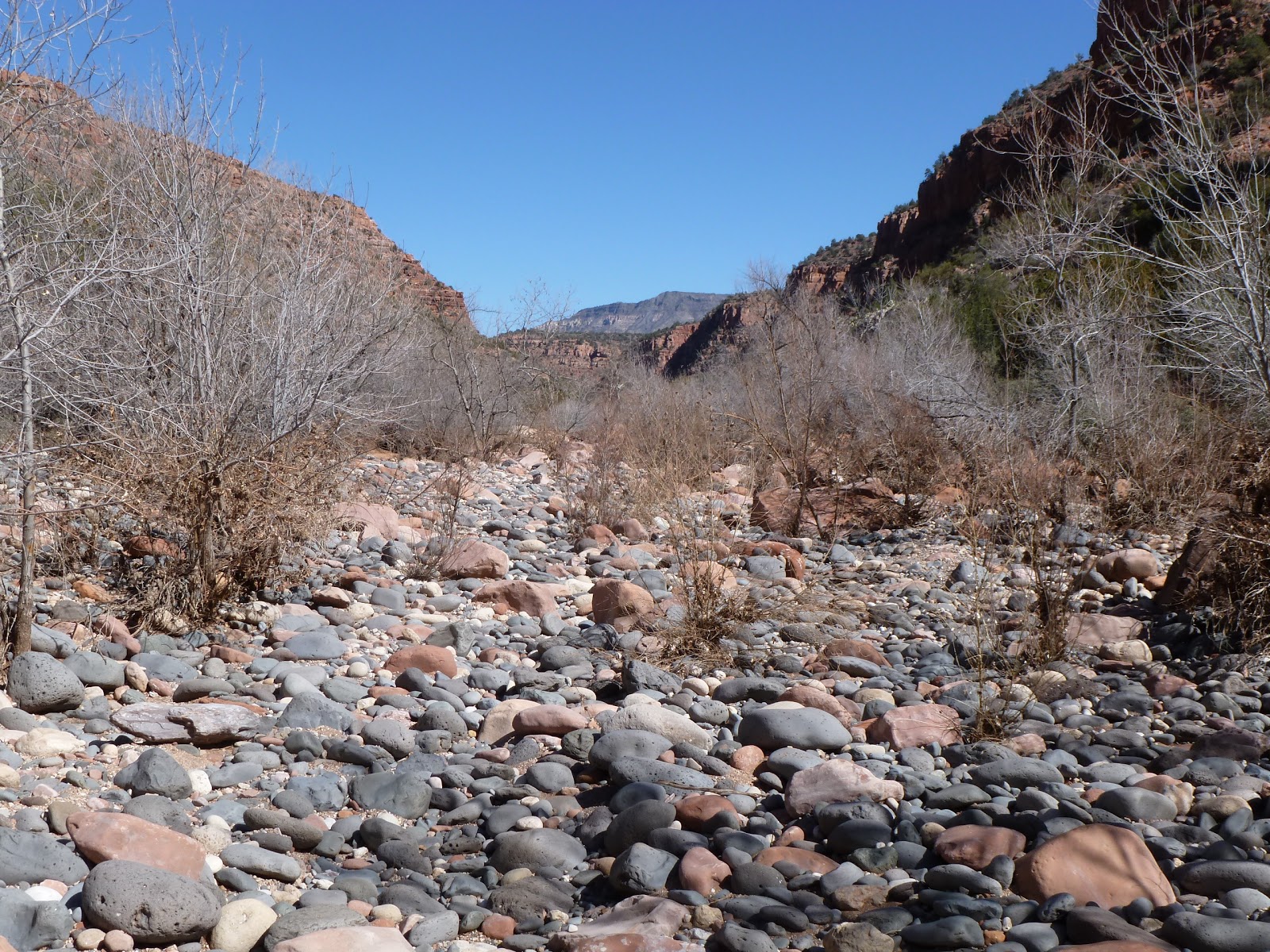 The Continuing Adventures of Eric, Noelle and Sierra: Coconino National ...