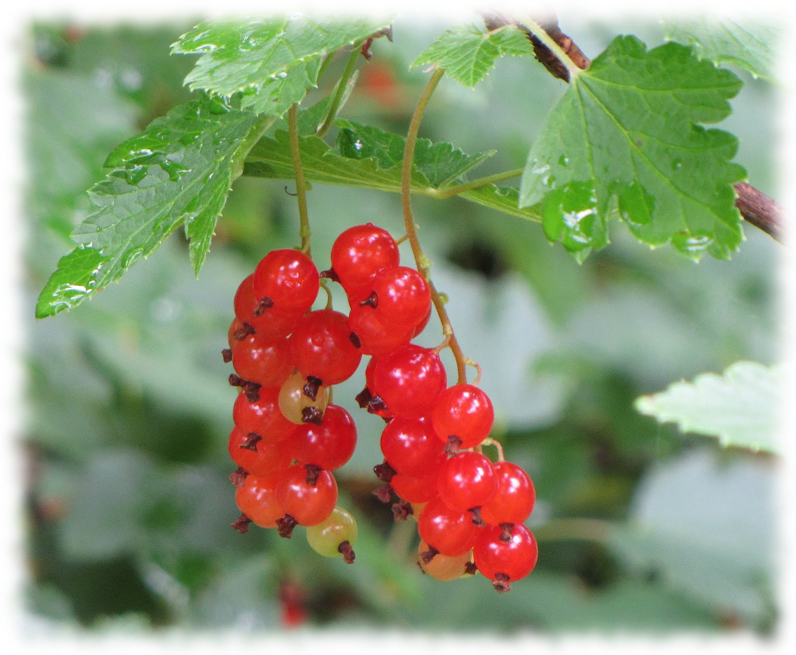 Seijastiinan Mietteitä: Mennyttä ja tulevaa