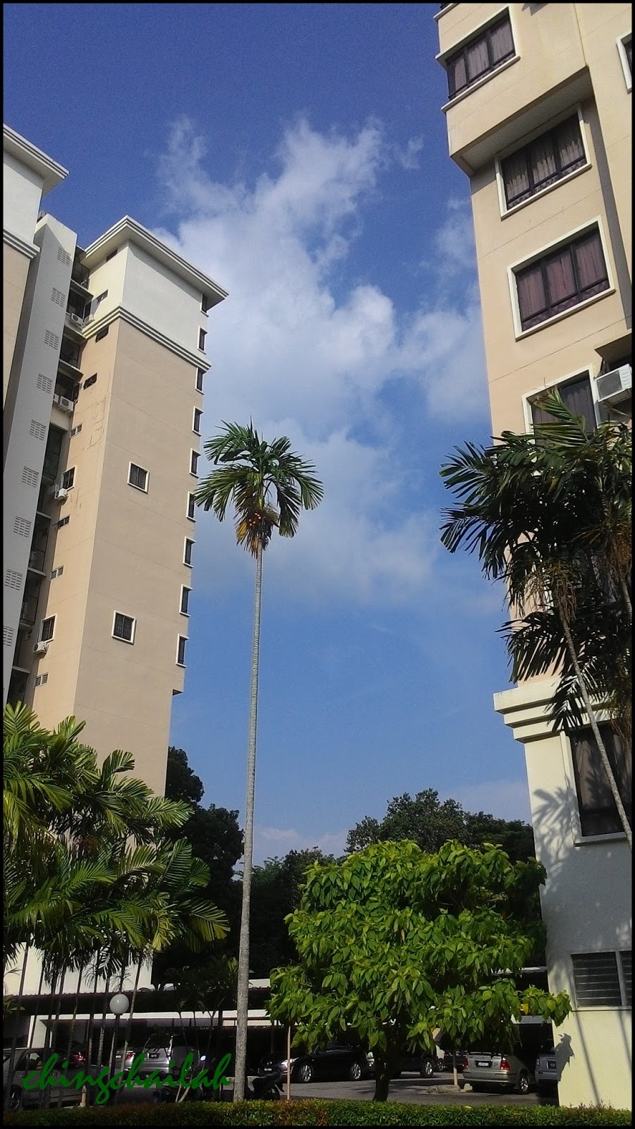 Simple Living In Nancy: Dinner at Northam Beach Cafe, Penang.