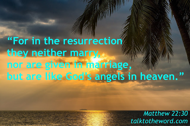 Matthew 22 30 matthew-22-30