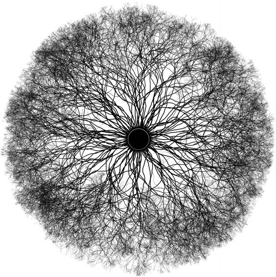 Drawing : Up close and far away. The macro and the micro.