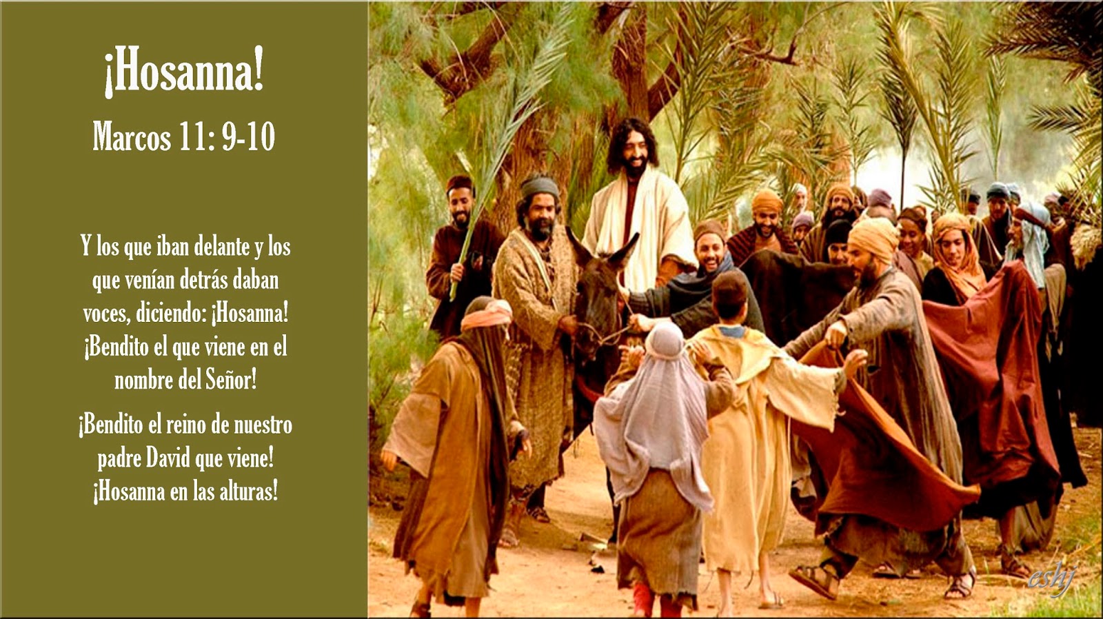 Marcos 11 - Nueva Versión Internacional (NVI)