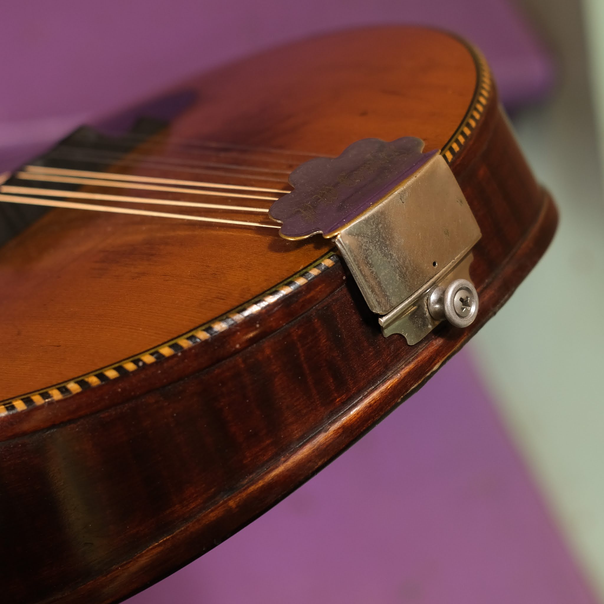 1916 Weymann Style 20 Mandolute Mandolin