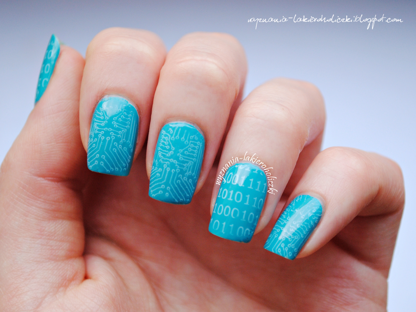 Confessions of a Polishaholic: Computer geek!