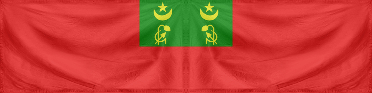 Major Thomas Foolery's War Room: Flags for Chinese Warlord/Back of ...