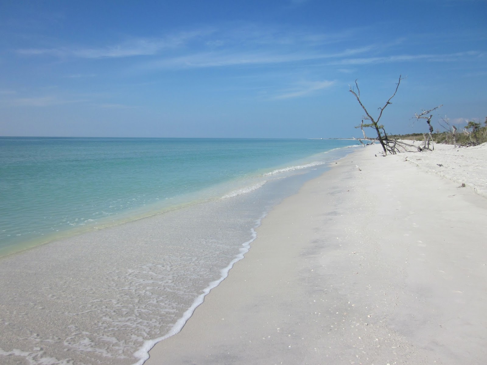 Enchanted Florida : Another Paradise- Cayo Costa State Park