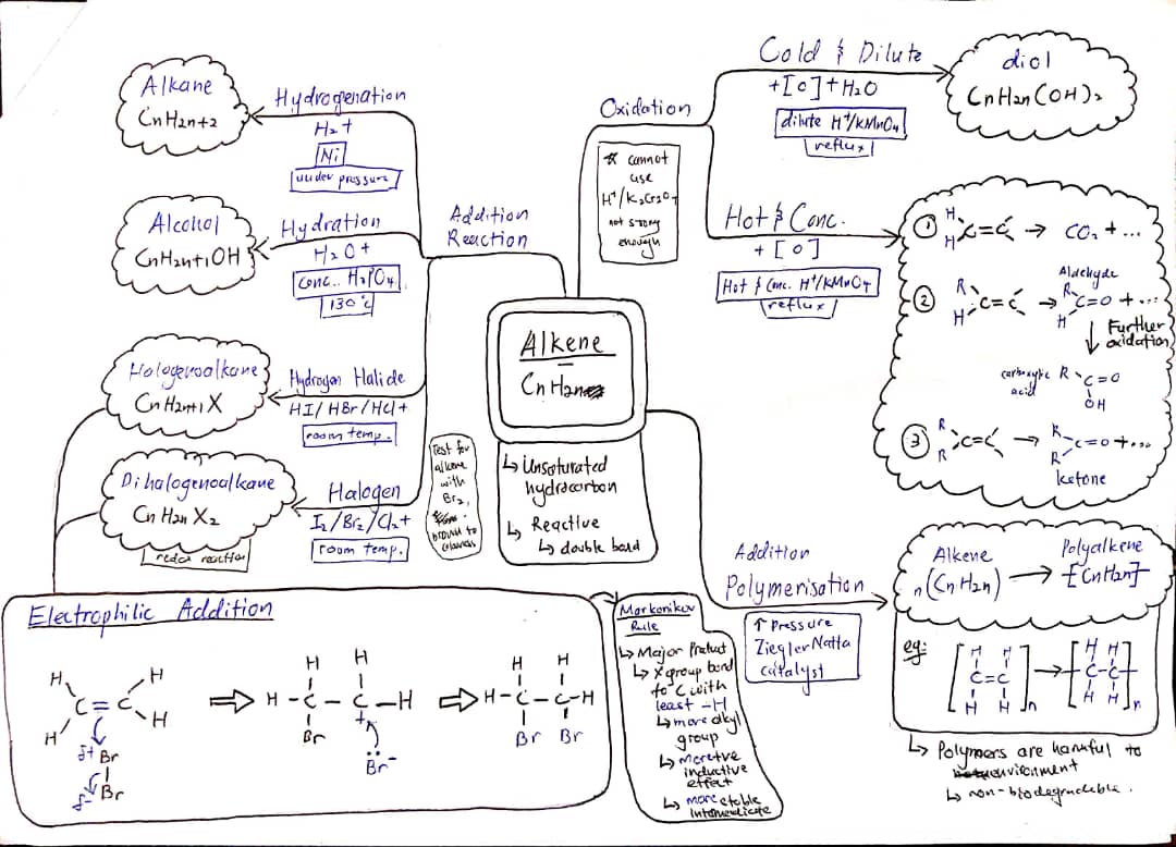 AS Level Organic Chemistry Mind Map