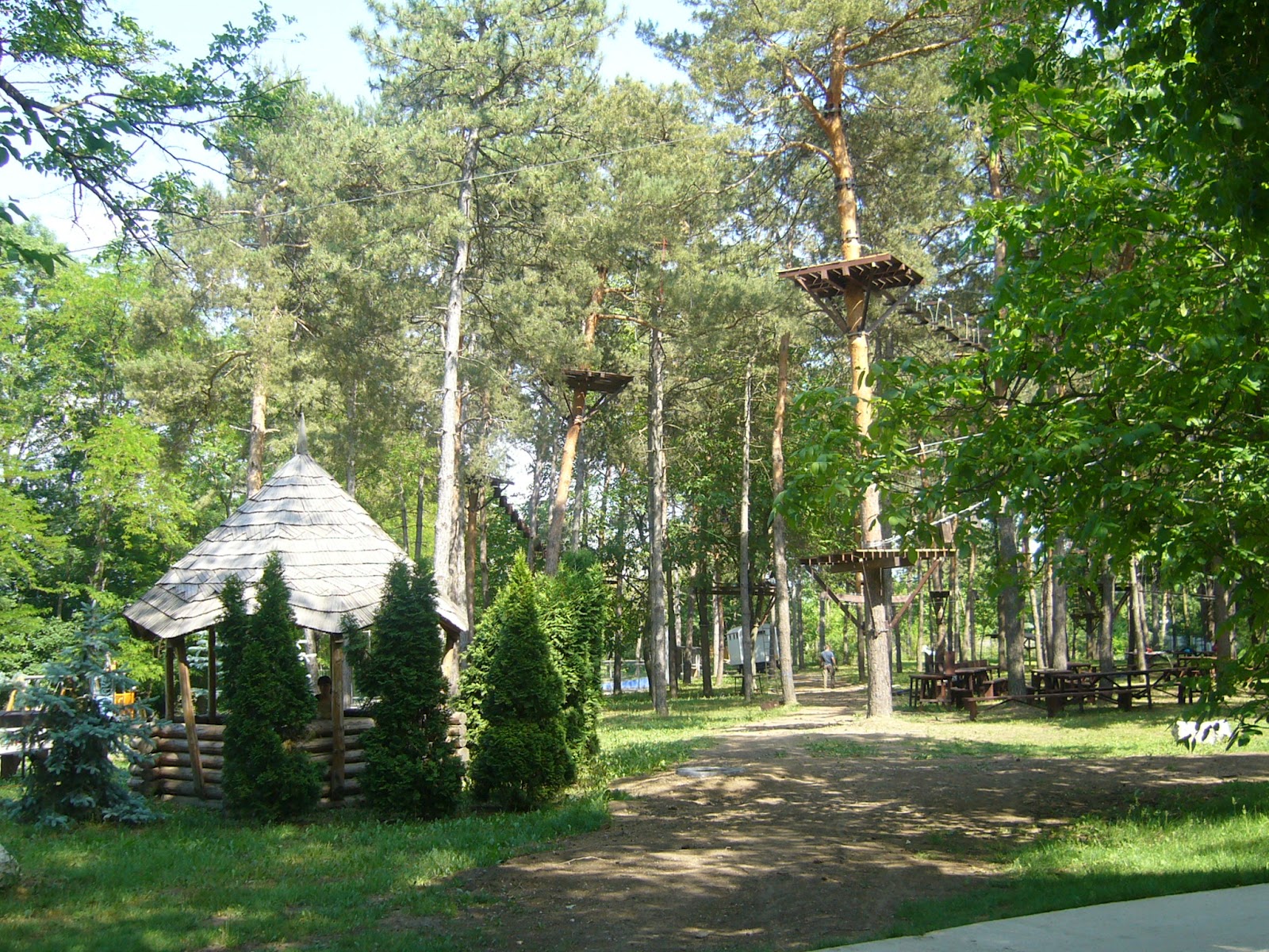 Romania prin ochii mei: Parcul National Comana