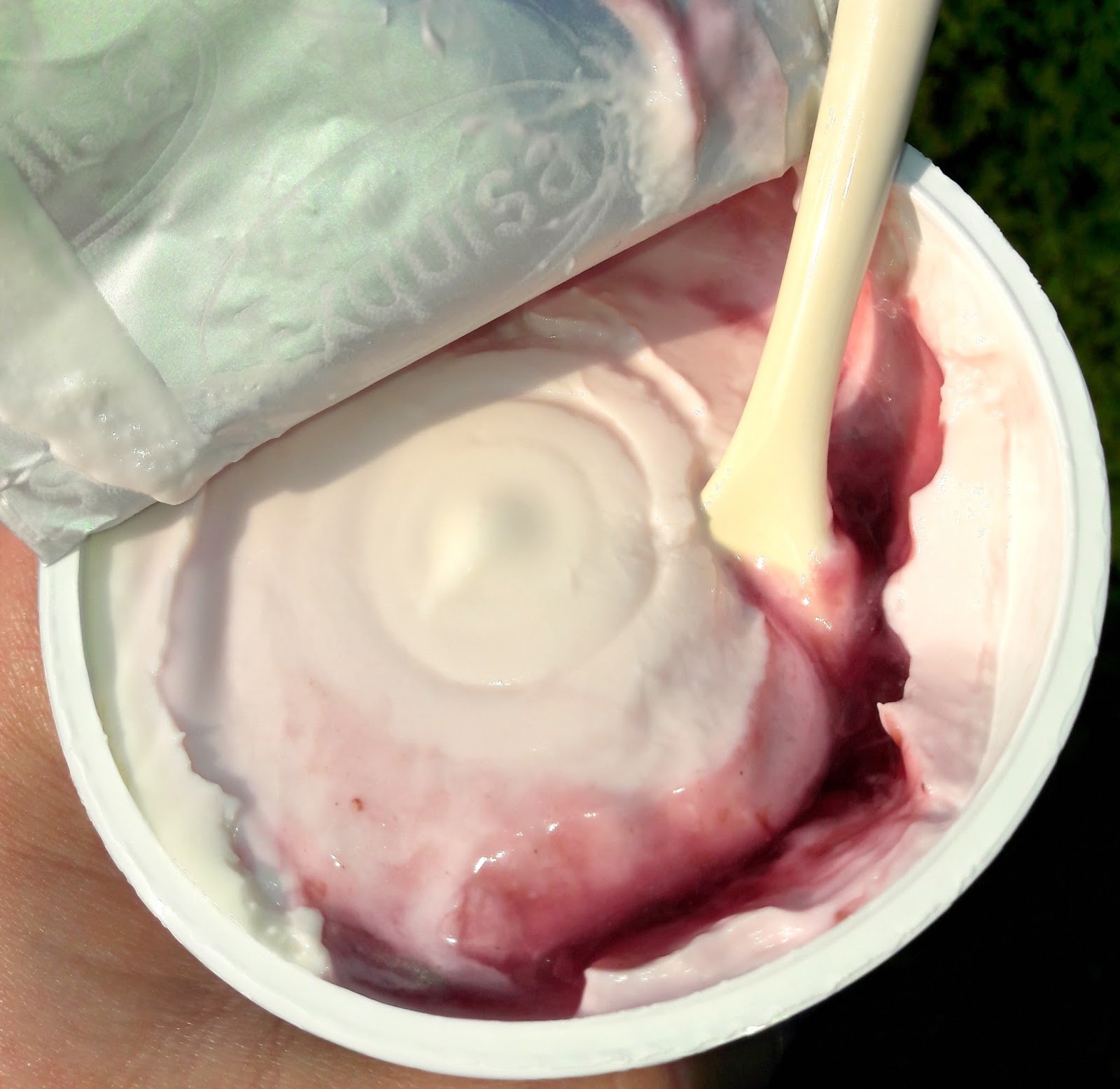 Svea testet Produkte: Exquisa Quark Cremes griechischer Art ♥