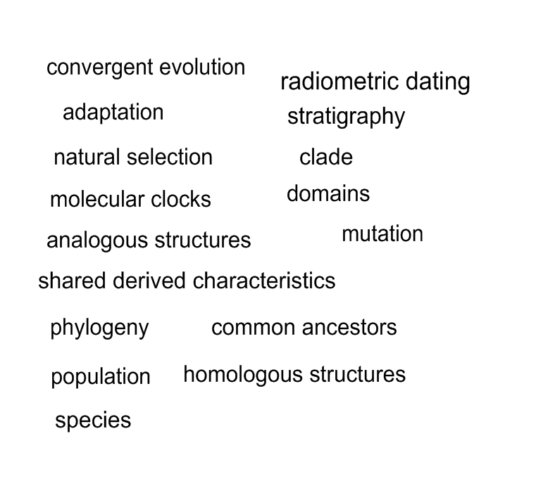 Mrs. Strong's AP Biology 2012-2013: 22 evolution word map