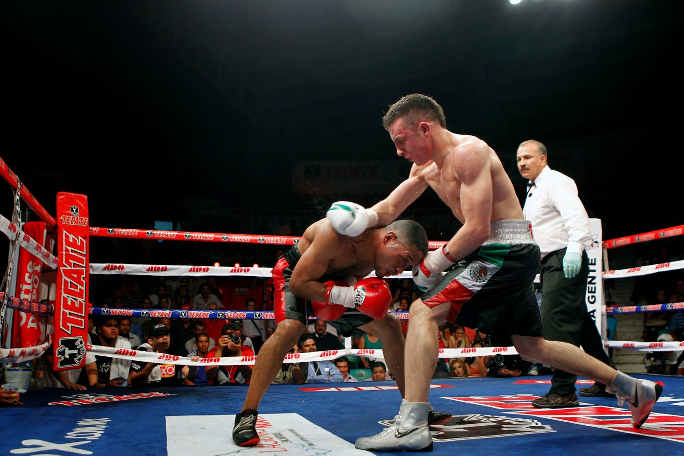 .: Omar Chavez derrota a Navarro