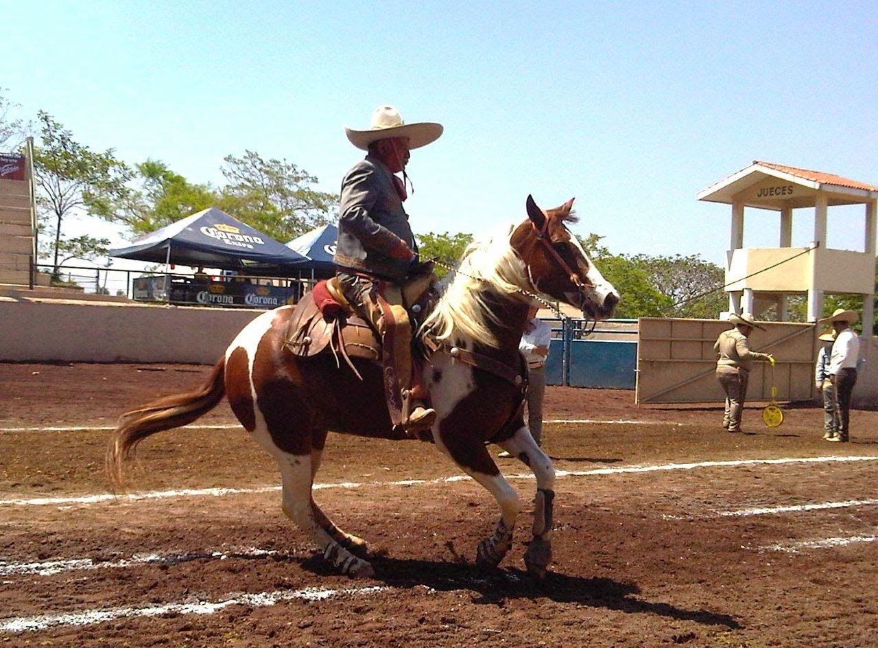 Charreria: Charreria