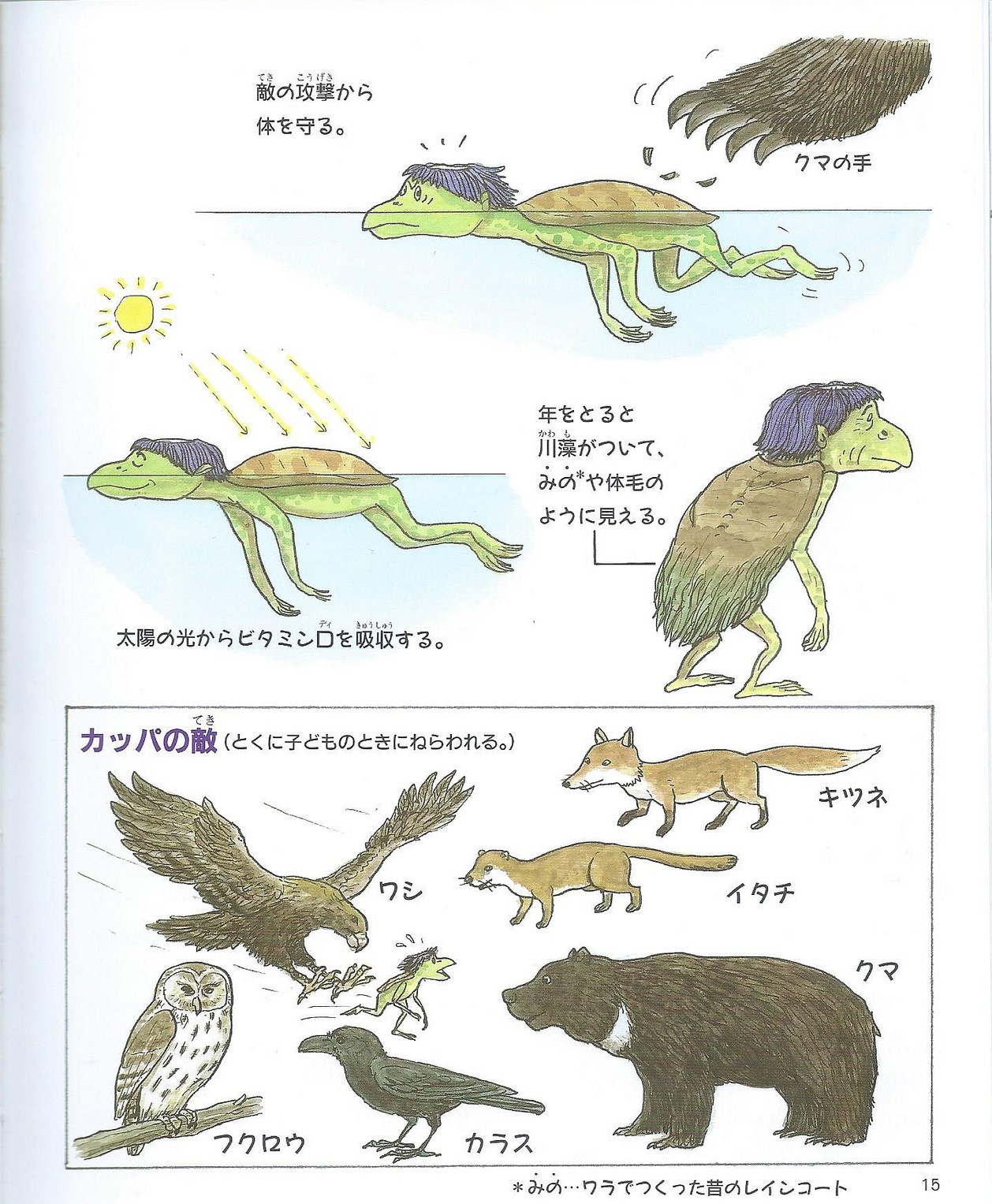 Potions For Muggles: An Illustrated Guide to Kappa Life